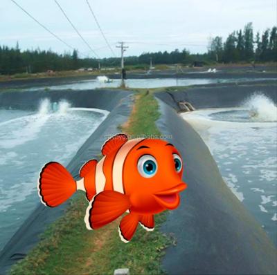 China 50m-200m HDPE Geomembrane Liners para Aquacultura Barragem reservatório lago e aterro feito à venda