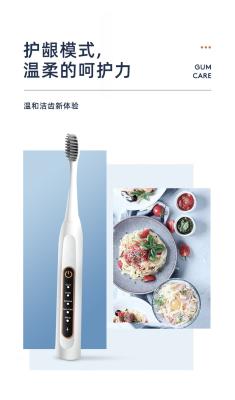 Cina Ipx7 impermeabile Sonic Electric Toothbrush 31000 cronometra/min in vendita