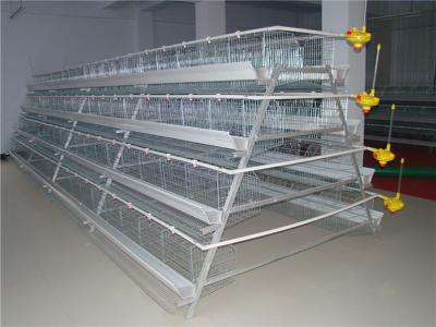 Cina 96-160 uccelli un tipo efficienza d'elevazione automatica completa della gabbia per polli alta in vendita