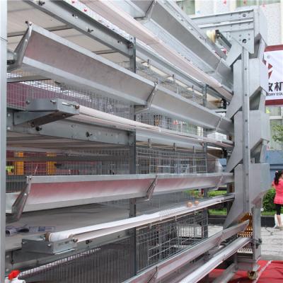China H Frame 256 Birds Battery Cage System In Poultry Farm Automatic Cleaning for sale
