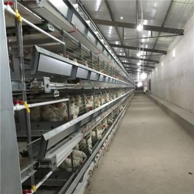 Cina Gabbia animale galvanizzata immersa calda della batteria automatica della struttura di H/gabbia strato del pollo/gabbia in batteria strato del pollo da vendere in vendita