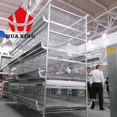 Cina Gabbia automatica del pollo da carne per il bene durevole animale del bestiame di agricoltura del pollame in vendita