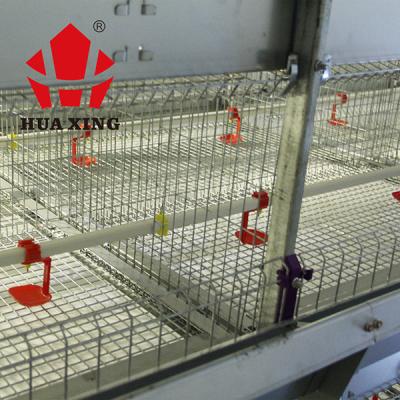 Cina Gabbia automatica del pollo da carne per il bene durevole animale del bestiame di agricoltura del pollame in vendita