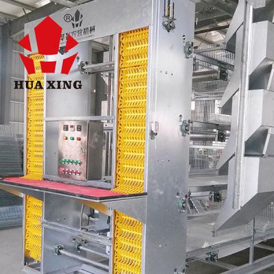 Cina Uova che raccolgono l'attrezzatura di avicoltura di strato, attrezzatura costante di automazione del pollame in vendita
