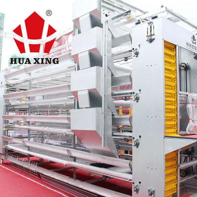 Cina Uova che raccolgono l'attrezzatura di avicoltura di strato, attrezzatura costante di automazione del pollame in vendita