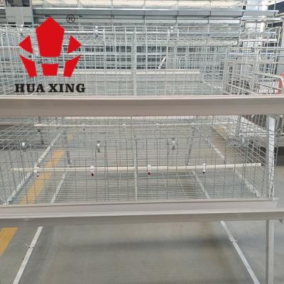 Cina Facile materiale immerso caldo della rete metallica del pollame della gabbia commerciale del pollo installare in vendita