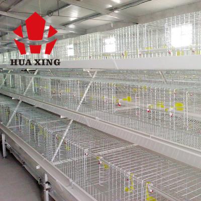 Cina Facile materiale immerso caldo della rete metallica del pollame della gabbia commerciale del pollo installare in vendita