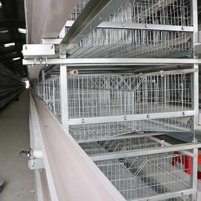 Cina U modella la gabbia per polli automatica d'acciaio, 3 fase 50HZ che uno strato della struttura ingabbia in vendita