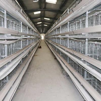 Cina U modella la gabbia per polli automatica d'acciaio, 3 fase 50HZ che uno strato della struttura ingabbia in vendita