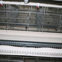 China Durable A Type Layer Chicken Cage System Automatic Control IS9001 Approval for sale