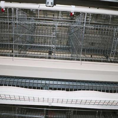 Cina Bene durevole un tipo approvazione di controllo automatico IS9001 del sistema della gabbia del pollo di strato in vendita
