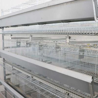 Cina Anti gabbia del pollo di strato di corrosione per la stenditura dell'uso dell'azienda agricola della larga scala delle uova in vendita