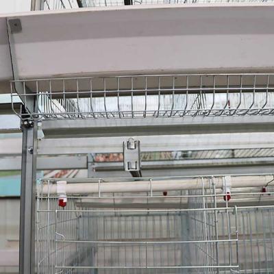 Cina Anti gabbia del pollo di strato di corrosione per la stenditura dell'uso dell'azienda agricola della larga scala delle uova in vendita