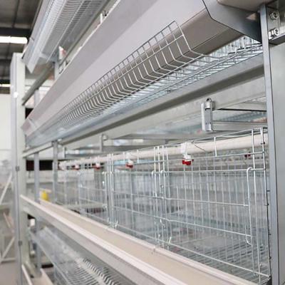 Cina Anti gabbia del pollo di strato di corrosione per la stenditura dell'uso dell'azienda agricola della larga scala delle uova in vendita