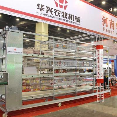 China Q235 Staal de Kooi van de 45 Dagenkip, de Grill die van de Arbeidsbesparing in Kooisysteem bewerken Te koop