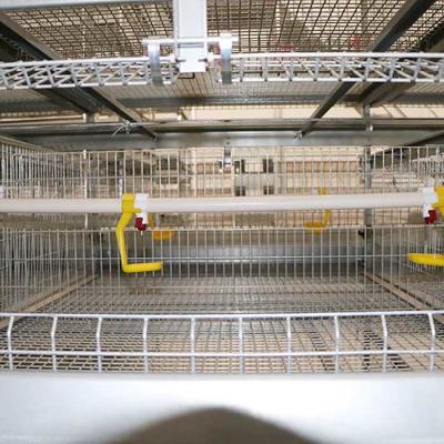 China Het automatische Systeem van de GrillBatterijkooi voor het Dierlijke Vee van de Gevogeltelandbouw en veeteelt Te koop