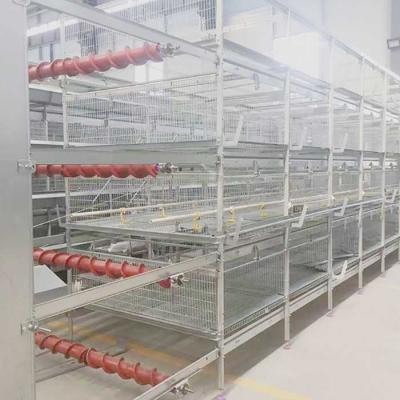 China De antidalingsBraadkip kooit een Type/h-Type Minder Ademhalingsziekten Te koop