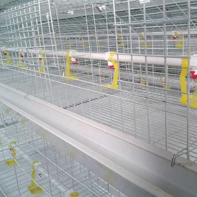 中国 農業の家畜の家禽の鶏のおり4層8のドアの高い耐久性 販売のため