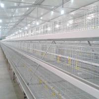 China Hot Dipped Wire Mesh Broiler Chicken Cage System Automatic Feeding / Drinking for sale