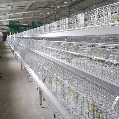 China De corrosiebestendige Kooi van de Gevogeltelaag, Duurzame de Voederkooi van de Grondvogel Te koop