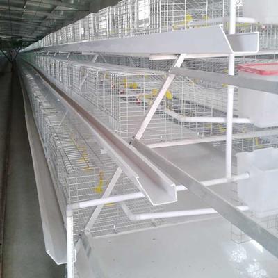 China Het hete Ondergedompelde Systeem van de Braadkipkooi, Q235-Kooi van het Staal de High-tech Gevogelte Te koop