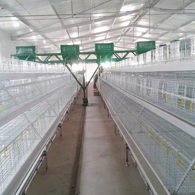 Cina Coltivando il pollo da carne ingabbi un tipo 3 controllo automatico di Tires facile installare in vendita