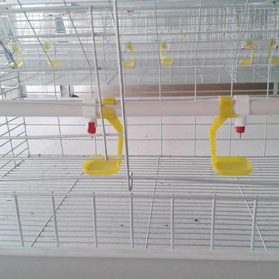 Cina Gabbie commerciali su ordinazione del pollo della carne, Chick Breeding Cage durevole in vendita