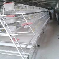 China High Efficiency Broiler Chicken Cage With Nipple Drinker IS9001 Certification for sale
