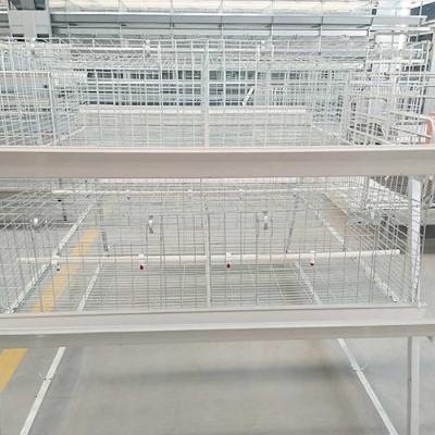 China De stabiele Kooi van de PrestatiesBraadkip Gemakkelijk om 20 - 25 Jaar schoon te maken Garantie Te koop