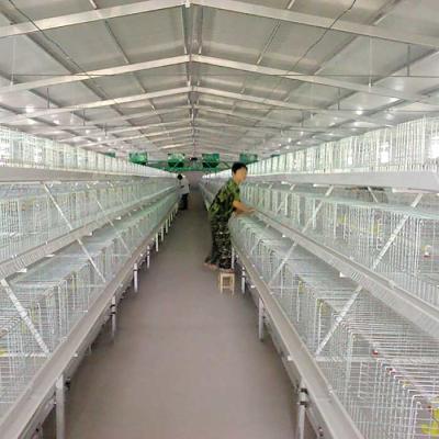 China U de Kooien van het de Draadgevogelte van het Vormq235 Staal, 125 * 100 * 63mm Kuiken het Grootbrengen Kooi Te koop