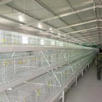 China High Efficiency Broiler Chicken Cage With Nipple Drinker IS9001 Certification for sale