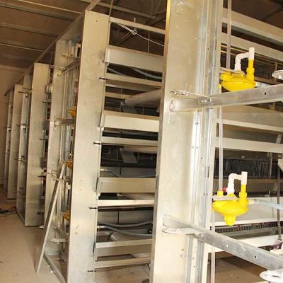 Cina Tipo 4 gabbie per polli moderne della fila, 120CM di H facile installare le gabbie del pollo della costruzione in vendita