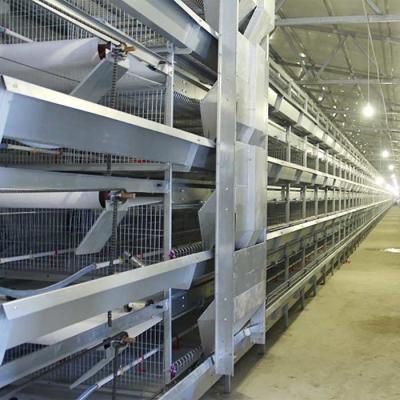 Cina Tipo 4 gabbie per polli moderne della fila, 120CM di H facile installare le gabbie del pollo della costruzione in vendita