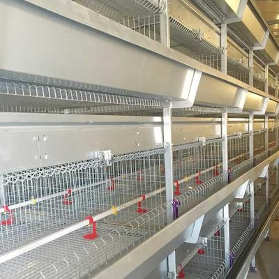 Cina 4 gabbia dell'incubatrice della fila 195CM per i pulcini un tipo materiale galvanizzato dell'acciaio Q235 in vendita
