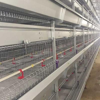 Cina 4 gabbia dell'incubatrice della fila 195CM per i pulcini un tipo materiale galvanizzato dell'acciaio Q235 in vendita