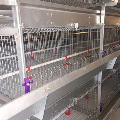 Cina 4 gabbia dell'incubatrice della fila 195CM per i pulcini un tipo materiale galvanizzato dell'acciaio Q235 in vendita