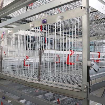 Cina Bene durevole un tipo tasso di mortalità basso della gabbia del pulcino del bambino con il sistema d'alimentazione manuale in vendita