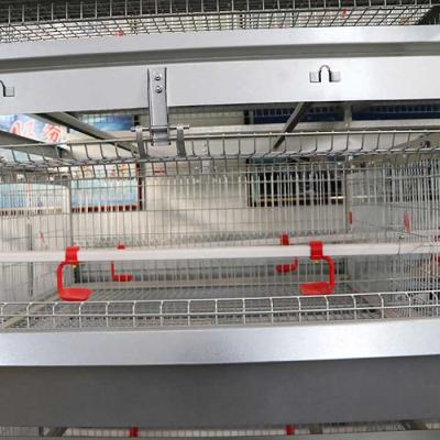 Cina Bene durevole un tipo tasso di mortalità basso della gabbia del pulcino del bambino con il sistema d'alimentazione manuale in vendita