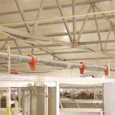 China 380V Cage House Poultry , Automatic Layer Poultry Equipment Long Life Span for sale