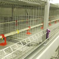 China 195 * 50 * 35CM Chick Brooder Cage , High Efficiency Cage Layer Farming for sale