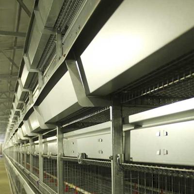 Cina Approvazione facile da pulire ISO9001 di grande capacità della gabbia del pulcino del bambino di alta efficienza in vendita