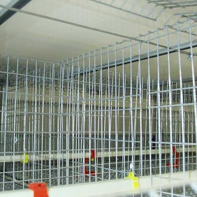Cina Approvazione facile da pulire ISO9001 di grande capacità della gabbia del pulcino del bambino di alta efficienza in vendita