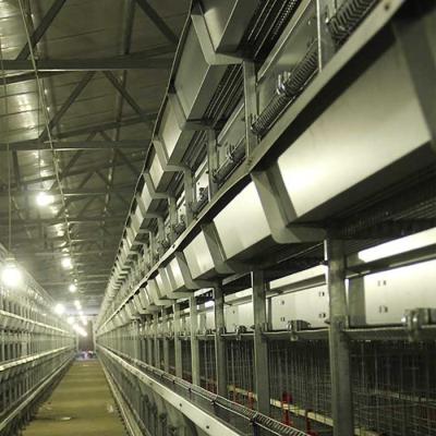 China Galvanized Steel A Cage For Poultry , Automatic Ladder Layer Chicken Cage for sale
