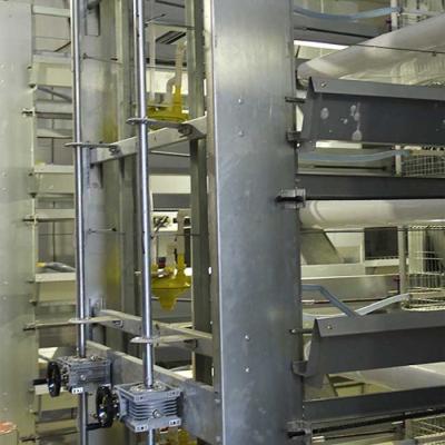 Cina Meno gabbia dell'interno del pollo di spreco dell'alimentazione, gabbia dell'azienda avicola di alimentazione automatica in vendita