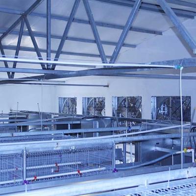 中国 電池の家禽の農機具、耐久Hのタイプ192赤ん坊の鶏のおり 販売のため