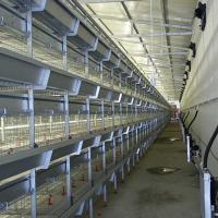 China 195 * 50 * 35CM Chick Brooder Cage , High Efficiency Cage Layer Farming for sale