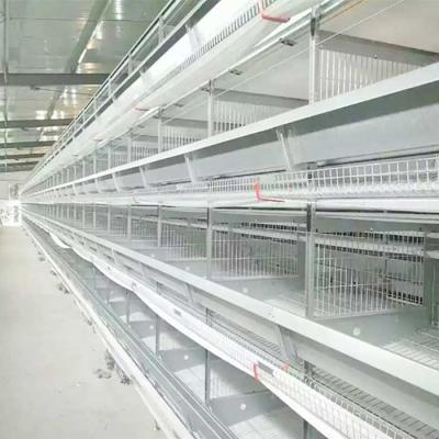 中国 Q235鋼線の家禽の鶏のおりの安定した性能0 -農場のための20kw力 販売のため
