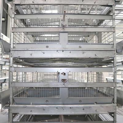 Cina 90 - Sistema della gabbia in batteria di 256 uccelli, gabbie arricchite durevoli per le galline ovaiole in vendita