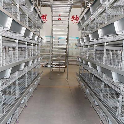 Cina Meno tipo gabbia di strato, attrezzatura di inabilità H di avicoltura di strato per i polli in vendita