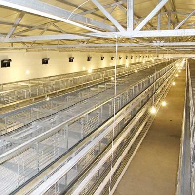 中国 鶏タイプ層のおり、高性能の家禽のプロセス用機器 販売のため